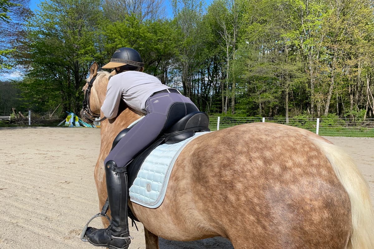 How to Rock the Spring Equestrian Fashion Trends –ThriftedEquestrian